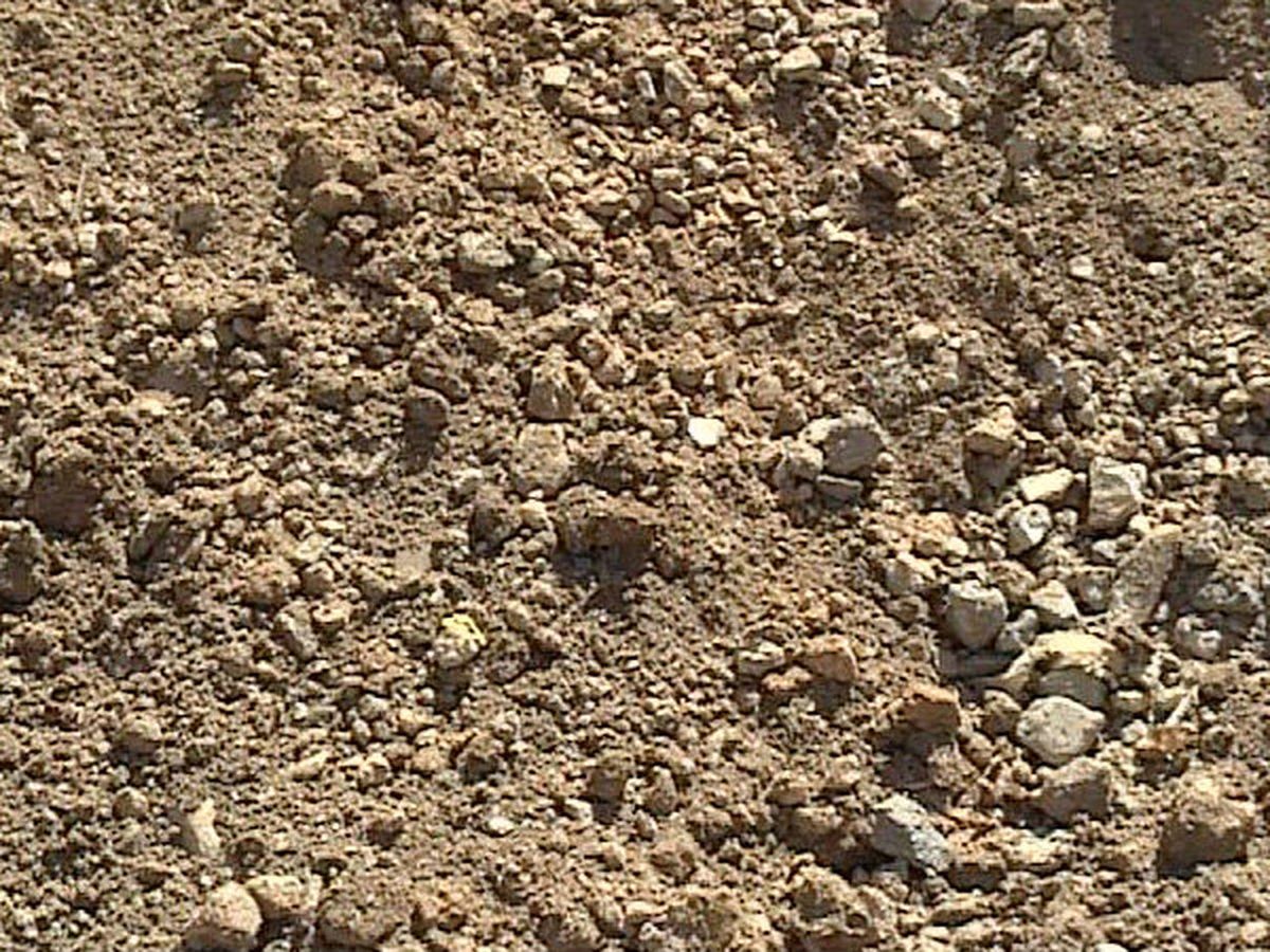 File:Epoop.jpg - Starbase wiki